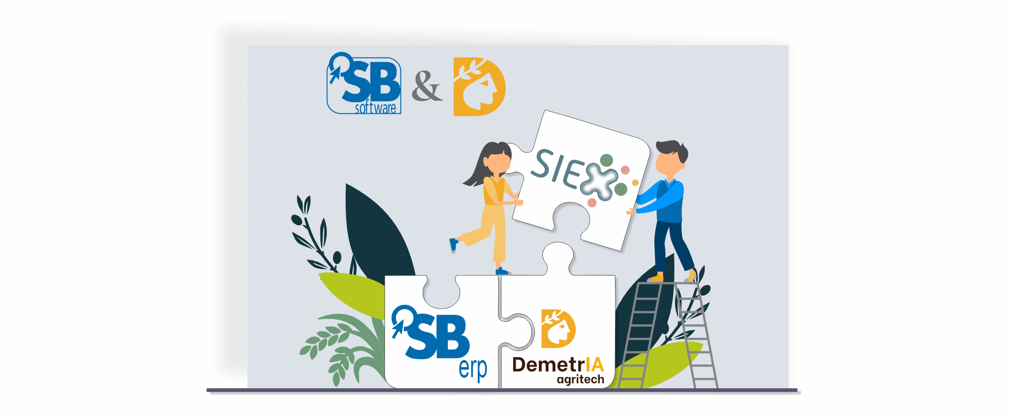 DemetrIA Agritech y SB Software se asocian - SB Software ERP para almazaras cooperativas